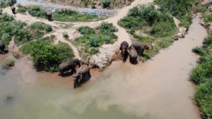 FULL DAY MAHOUT BASIC TRAINING PROGRAM AND PAK OU CAVES — TOUR CODE:F10 ...