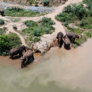 FULL DAY MAHOUT BASIC TRAINING PROGRAM AND PAK OU CAVES — TOUR CODE:F10 ...