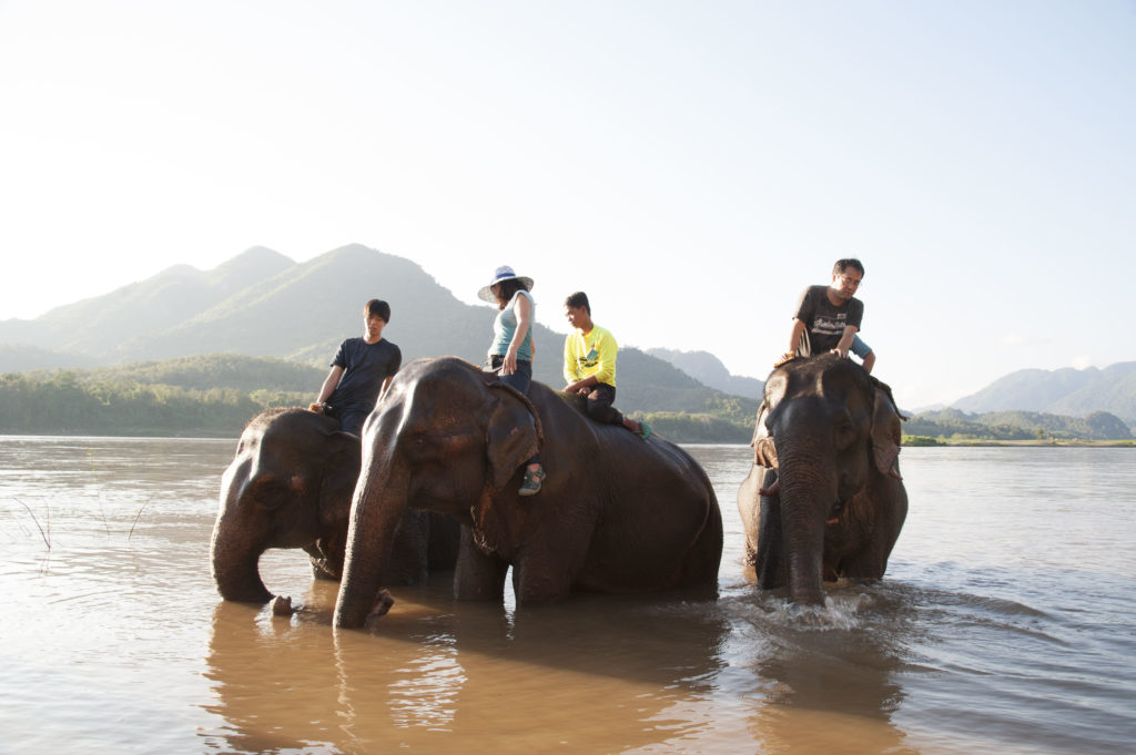 Luang Prabang . Laos | Elephant Ride | Mahout Experience - Half Day Tour