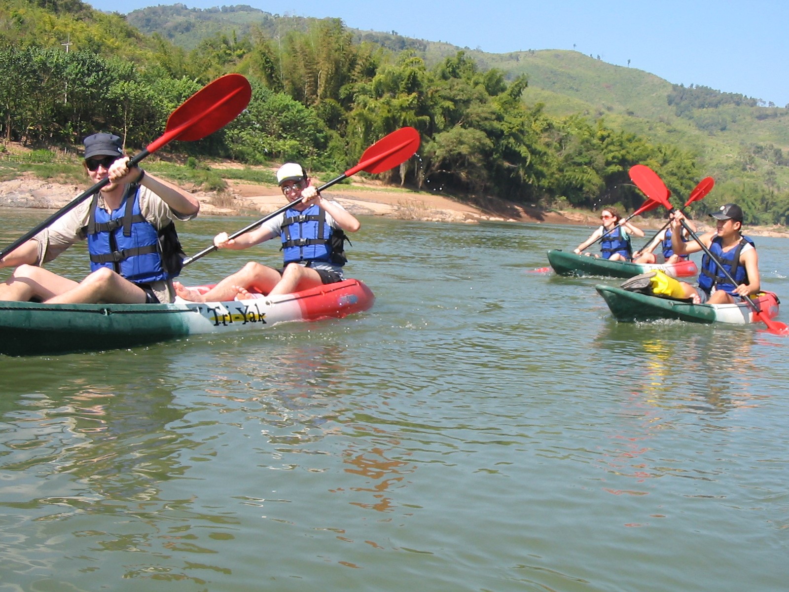 Full-Day Glimpse Elephant Mahout Experience, Kayay to Pak Ou Caves ...