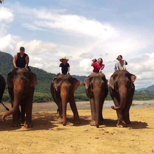 Manifa Elephant Camp – Manifa Travel, Luang Prabang, Laos Tour Company