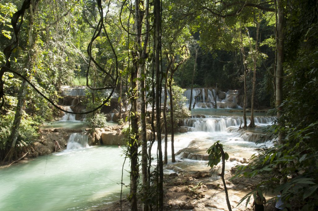 Trek & Tad Sae Waterfall (F15) – Manifa Travel, Luang Prabang, Laos ...